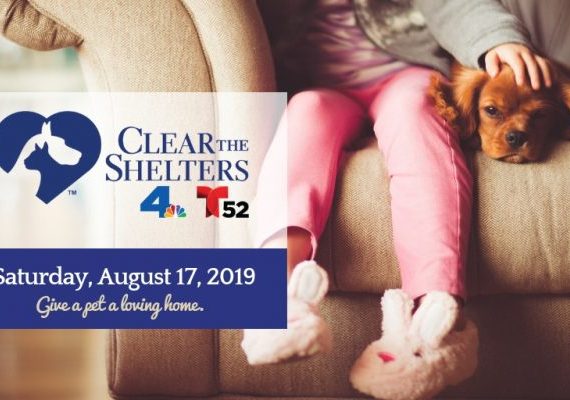 Riverside County Animal Services Names New Director - InlandEmpire.us